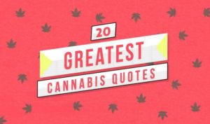 20 Greatest Cannabis Quotes - Weed Reader