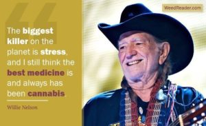 20 Greatest Cannabis Quotes - Weed Reader